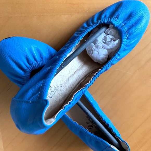 De Blossom Collection | Shoes | New Cute Blue Flats | Poshmark